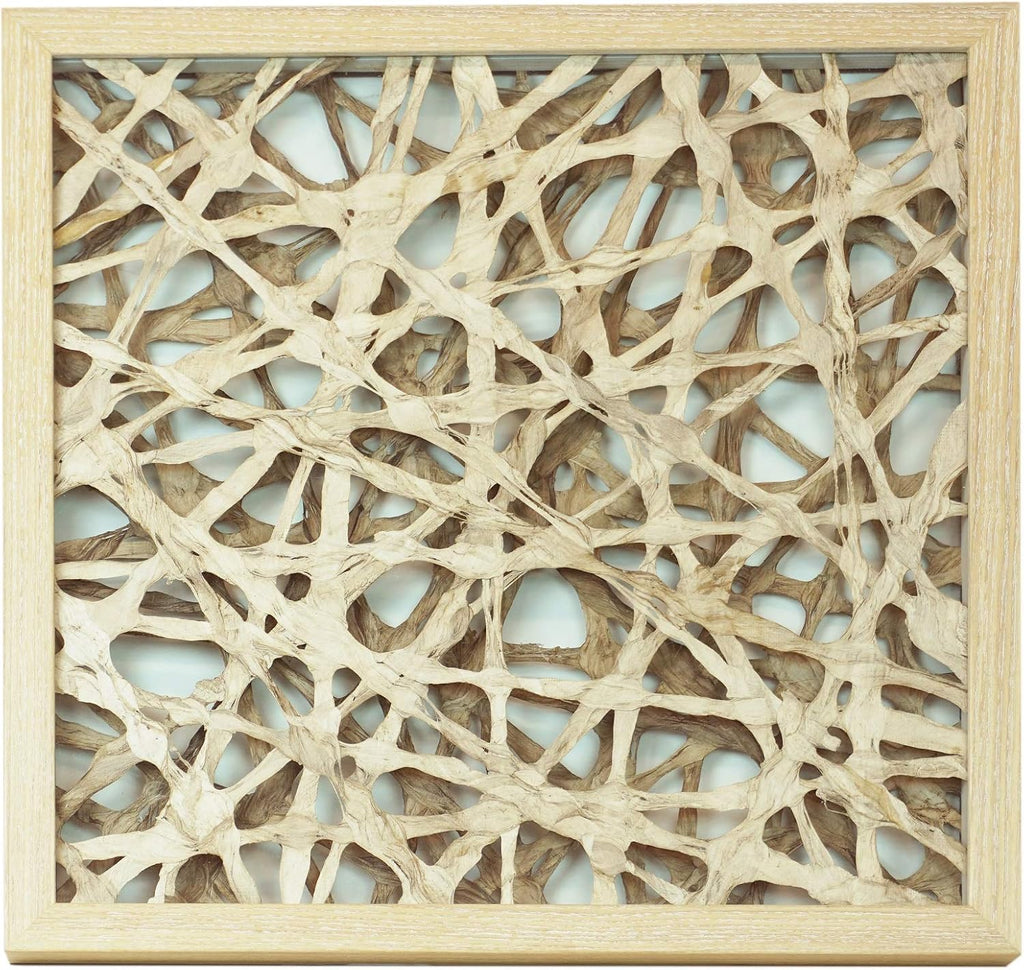 Yudeco Handmade See Through Paper Mache Shadow Box Wall Decor Home ...